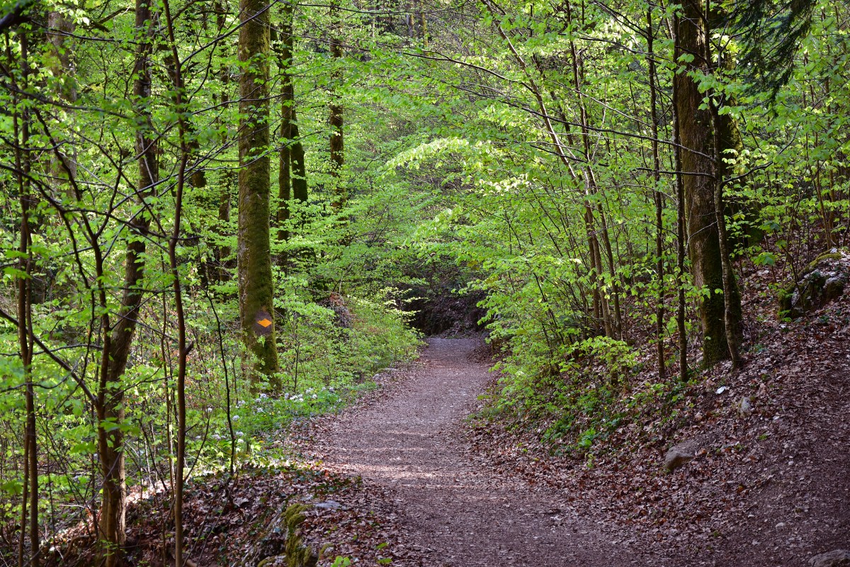 Je vois la vie en vert – Hymn' à la nat
